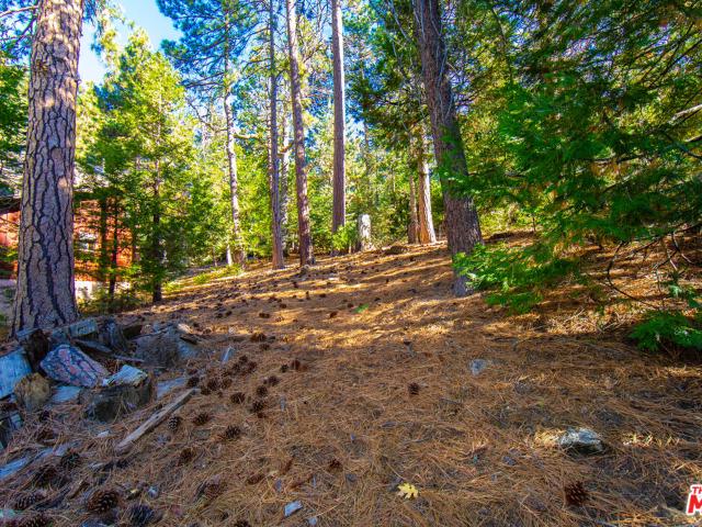 25270 Nestwa Trail, Idyllwild, CA 92549 | MLS #26844