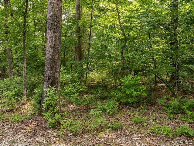 2528 Alpine Trail Dr, Innsbrook, MO 63390