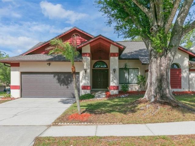 2528 Brimhollow Dr, Valrico, FL 33596