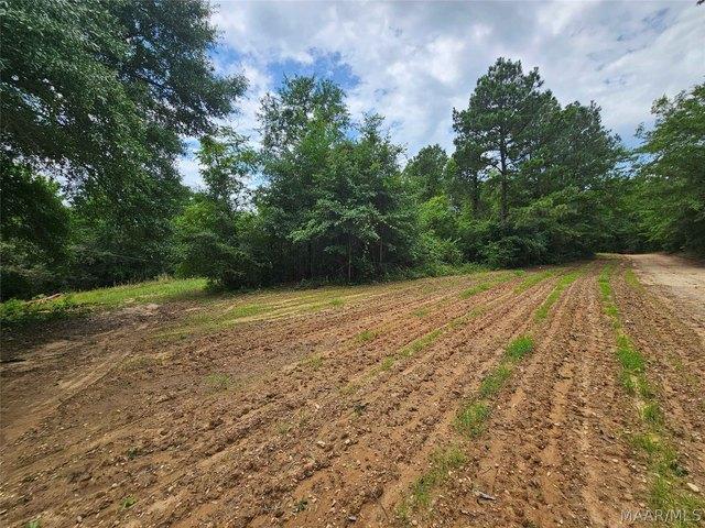 2520 Nettie Ln, Billingsley, AL 36006