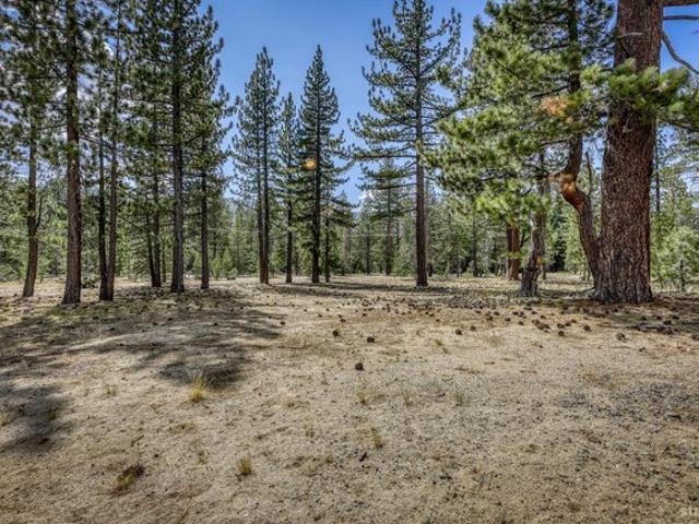 2520 Blitzen Rd, South Lake Tahoe, CA 96150
