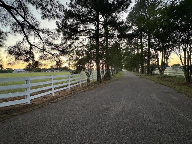 2520 Hwy 304