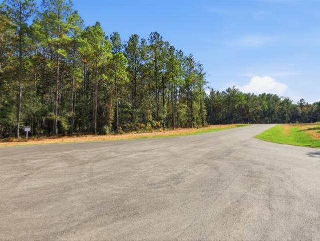 25219 Chisos Bnd, Montgomery, TX 77316