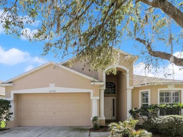 25228 Geddy Dr, Land O Lakes, FL 34639