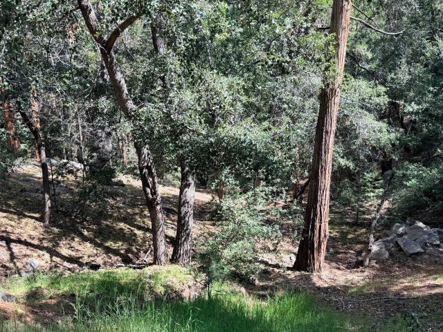 25235 Nestwa Trail, Idyllwild, CA 92549 | MLS #219146