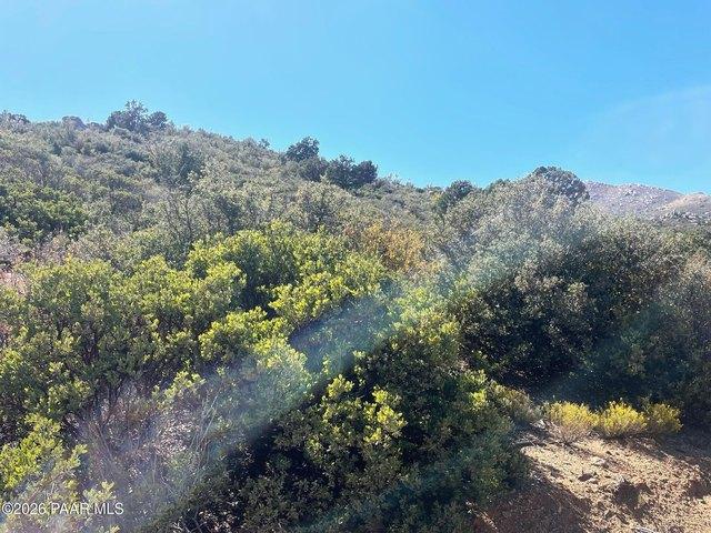 252 25 McGee Pass, Wikieup, AZ 85360