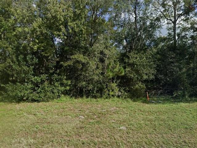252 Commonwealth Ave N, Polk City, FL 33868