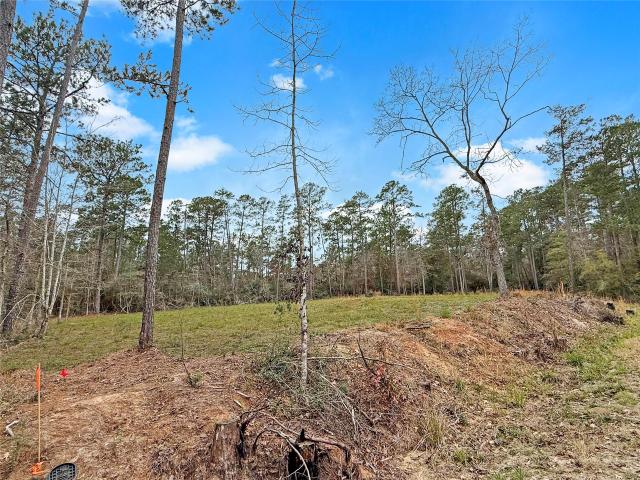 252 Amblewood Dr, Brookeland, TX 75931 | MLS #30866 | Compass