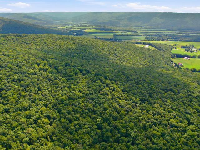 252 Acres County Road 106
