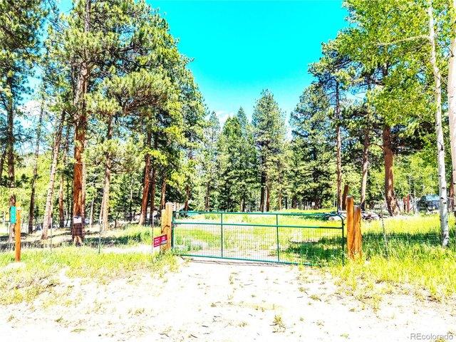 252 Beaver Trl, Bailey, CO 80421
