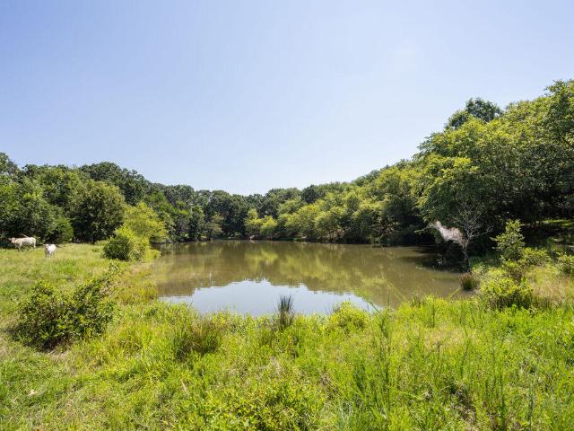252 Highway C