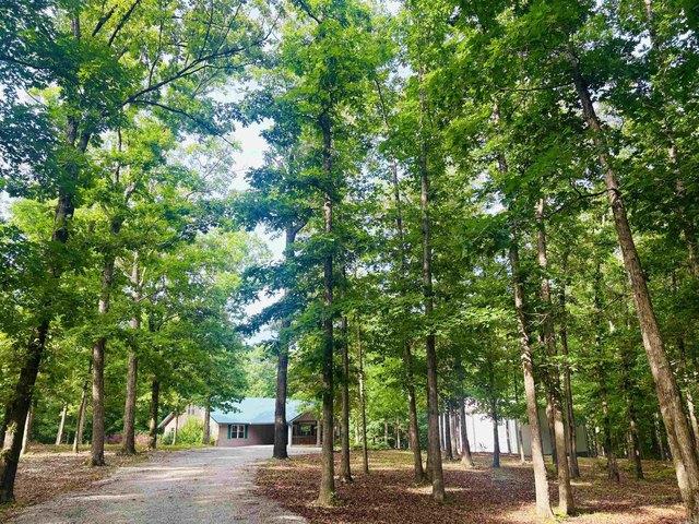 252 Mitchell Rd, Mountain View, AR 72560