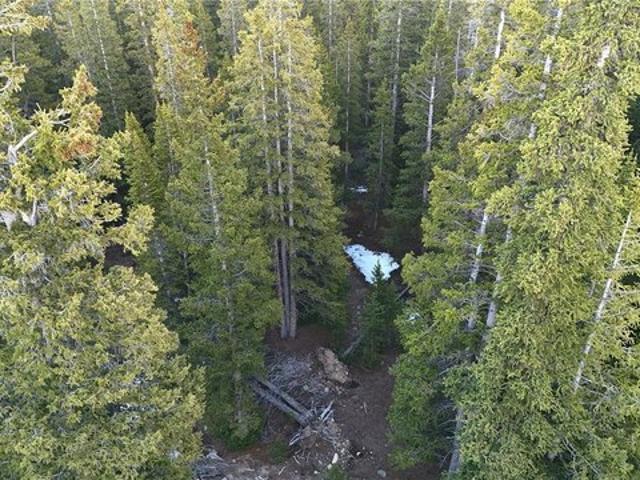 252 Silverheels Pl, Fairplay, CO 80440