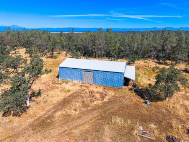 25350 Buffalo Drive