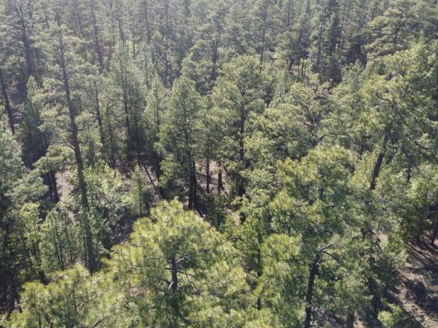 2535 woody pine drive # 87