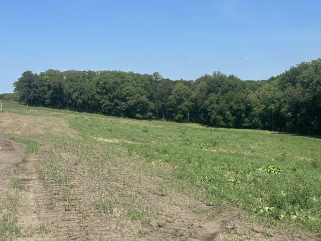 25360 Pathfield Rd, Glenwood, IA 51534