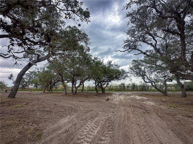 2537 Jocelyn Rd Lots 14 & 15, Aransas Pass, TX 78336