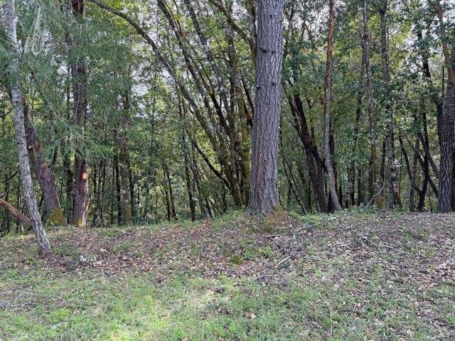 25380 Sherwood Rd, Willits, CA 95490