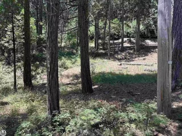 25391 Rebekah Rd, Long Barn, CA 95335 651832833