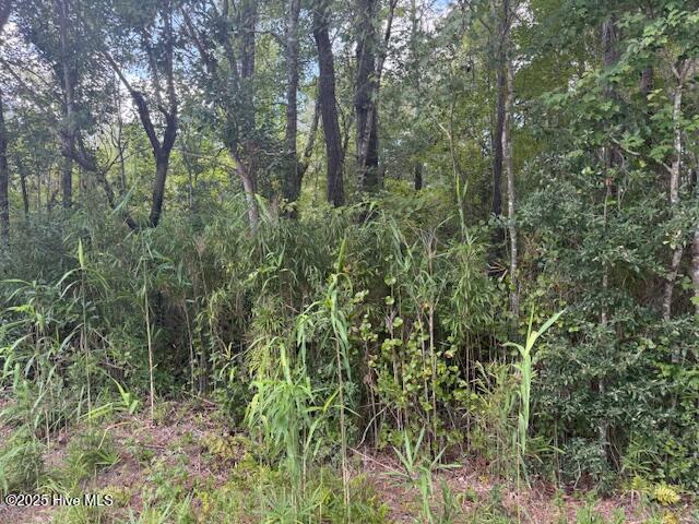 2539 Chauncey Town Road