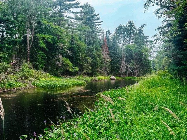 2539 Edinburg Rd, Argyle Township, ME 04468
