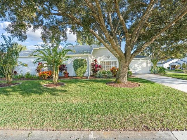 25300 Hibiscus St, Leesburg, FL 34748 | MLS #TB8460