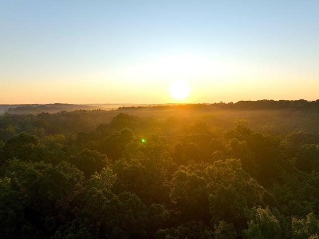 2530 W Fork Rd, Grand Junction, TN 38039
