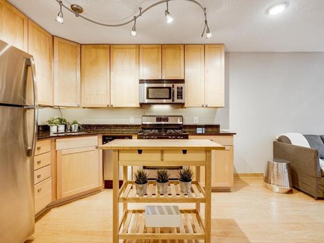 2530 1st Ave S Unit N201, Minneapolis, MN 55404