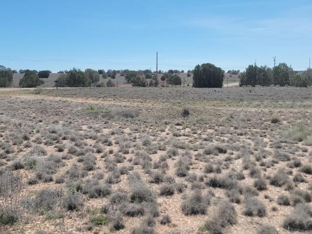 25310 N Enid Dr, Paulden, AZ 86334 | MLS #1080