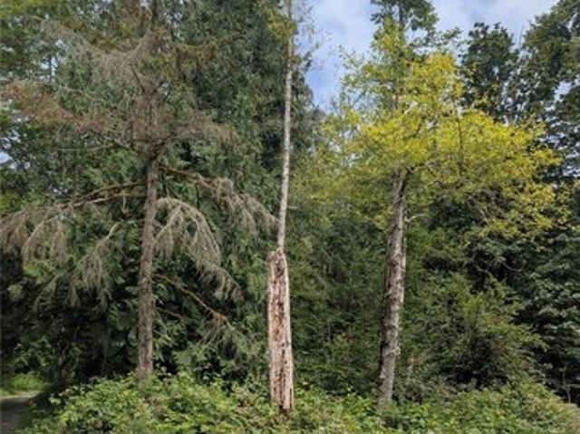 25314 Ebey Mountain Rd, Arlington, WA 98223