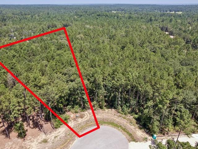 25316 High Meadow West Dr, Montgomery, TX 77316