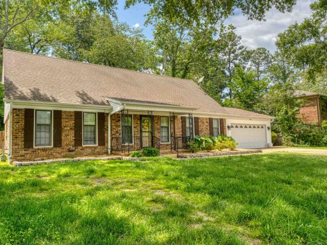 2531 mimosa tree dr