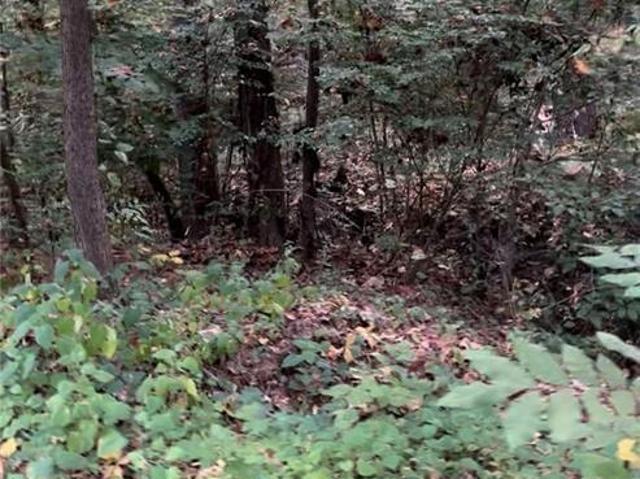 2531 Mohawk Trail, Acworth, GA 30102 | MLS #7505 | Compass