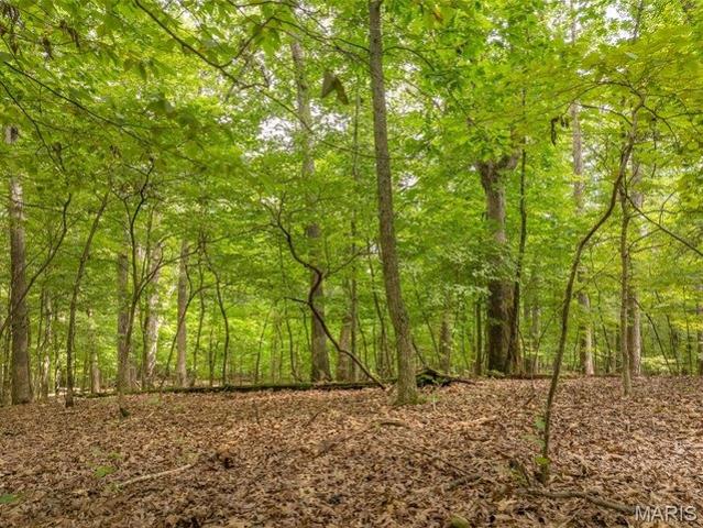 2531 Alpine Trail Dr, Innsbrook, MO 63390