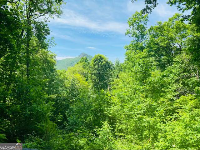 2531 Hunter Rd, Hiawassee, GA 30546 | MLS #10755