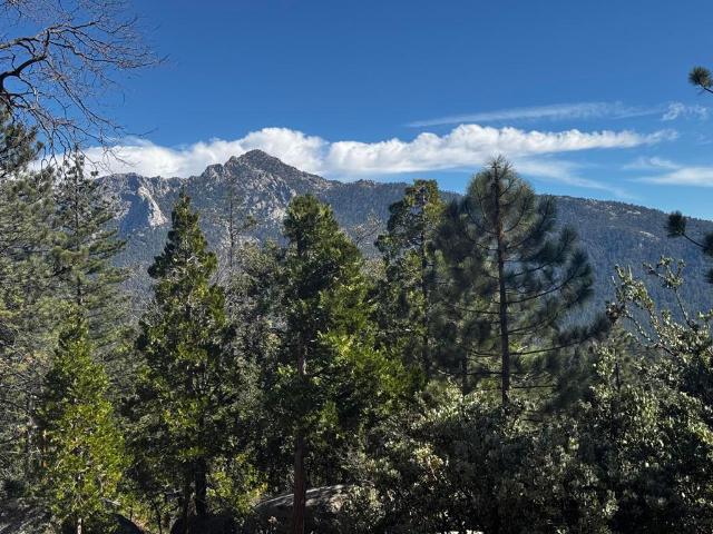 25327 Scenic View Drive