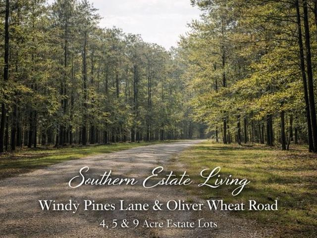25326 Windy Pines Ln, Livingston, LA 70754