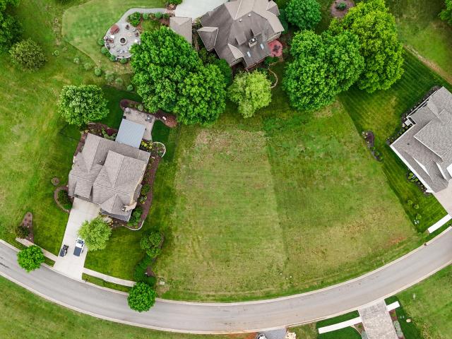 2532 Persimmon
