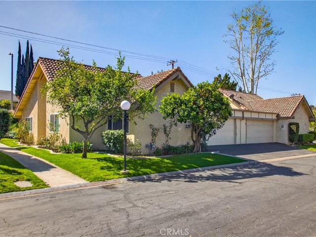 25338 Lawton