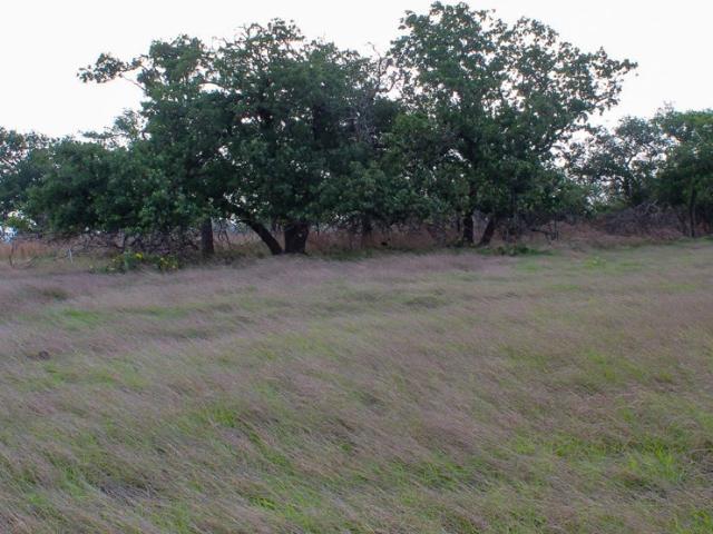 253 Apache Trce NW, Unit 8, Harper, TX 78631 | MLS #96574