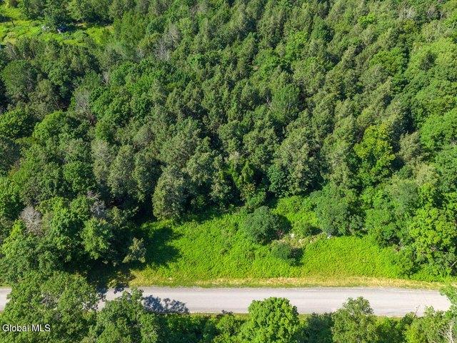 253 Armlin Hill Rd, Middleburgh, NY 12122