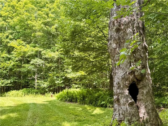 253 Davis Hollow Road