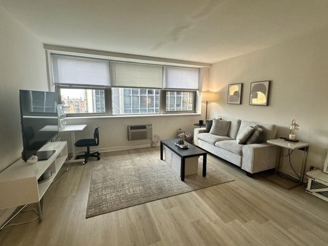 253 E Delaware Pl Apt 15E, Chicago, IL 60611