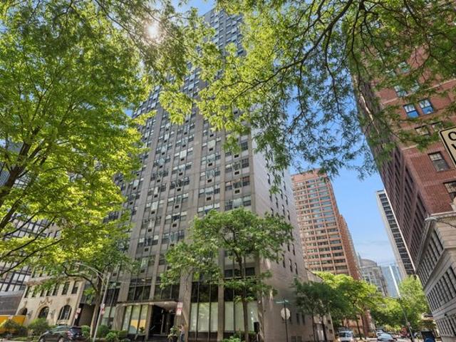 253 E Delaware Pl Apt 7H, Chicago, IL 60611
