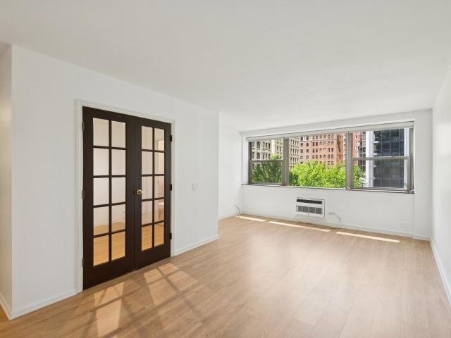 253 e delaware place # 5e