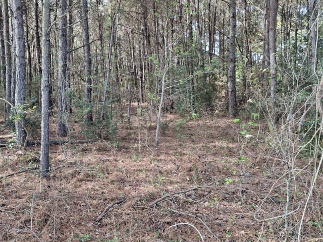 25450 Decker Prairie Rosehill Rd, Magnolia, TX 77355 | MLS #14013