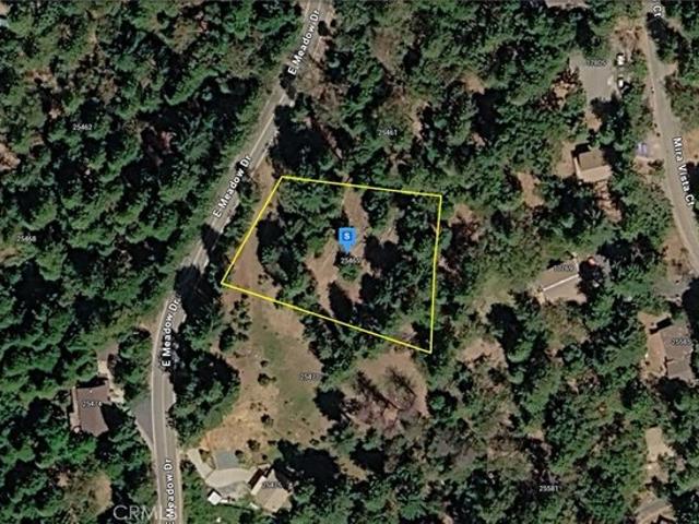 25465 E Meadow Dr, Pioneer, CA 95666