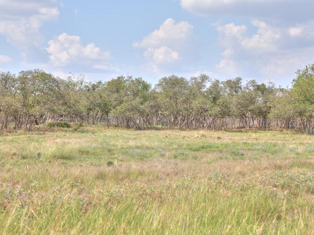 2546 2 Reservation Rd, Harper, TX 78631 | MLS #104288