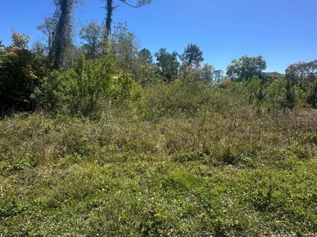 2548 E Lake Dr, DeLand, FL 32724 | MLS #V4941 | Compass