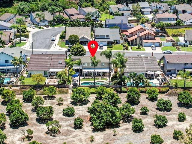 25491 Orchard Rim